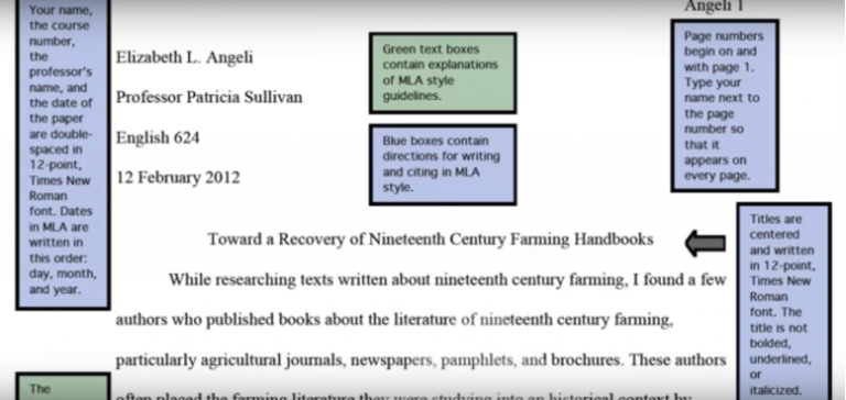Basic MLA Research Paper | College Term Paper